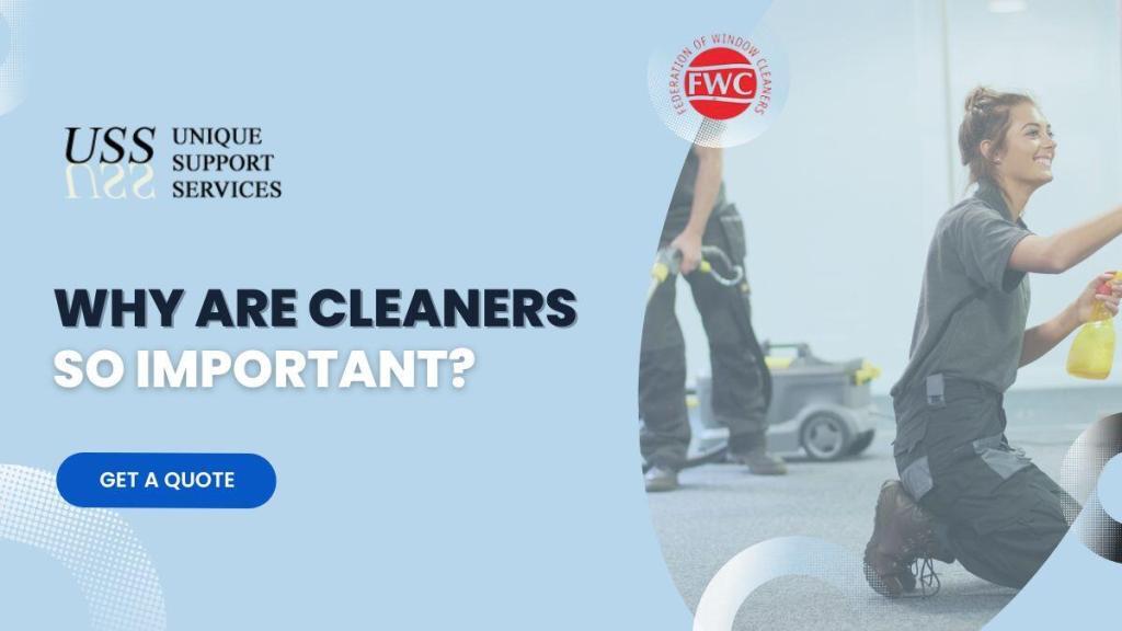 How important are cleaners - The Importance of Cleaners - #1